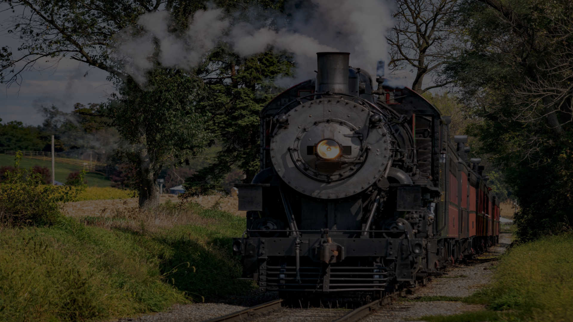 Tourist and Theme Park Operations - VRF.tv